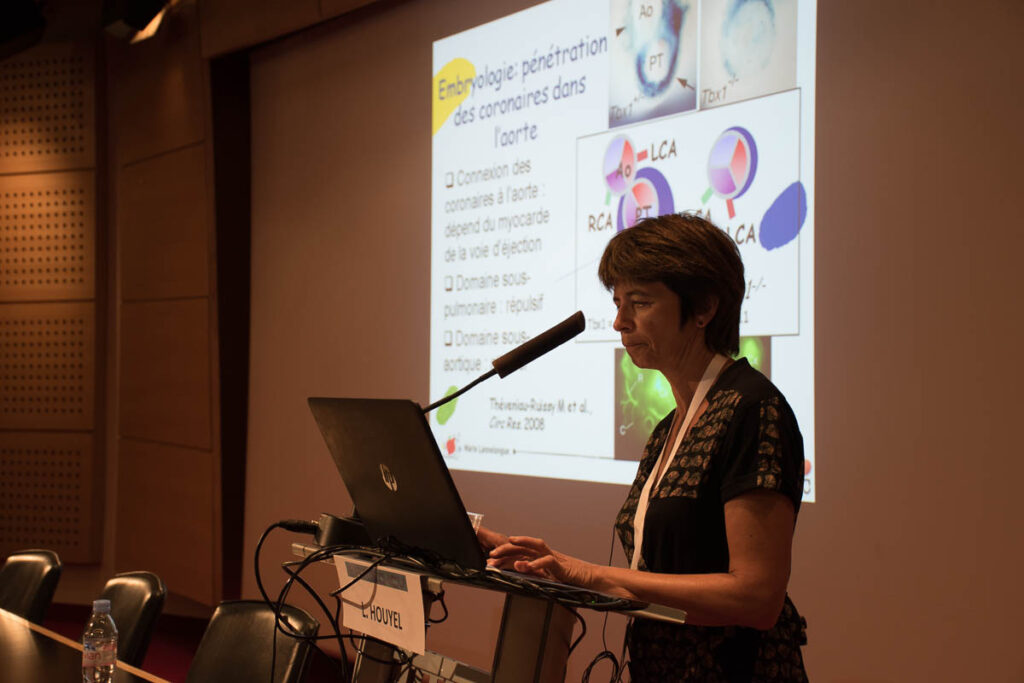 La radioanatomie cardiaque pour mieux comprendre les anomalies ...